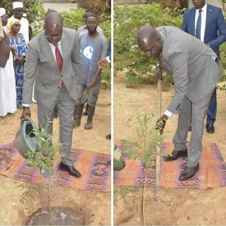 Sénégal: Le ministre de l'environnement sur une natte avant d'arroser ...