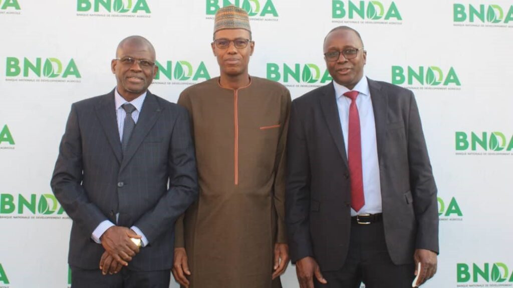 Nouvelle identité visuelle BNDA : La transformation de la banque verte prend corps et âme ...